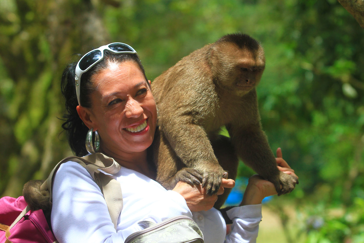Puerto Misahualli - Interactúe con los monos capuchinos | Viajes ...